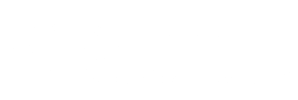 Business Elements – WE TURN DATA INTO INTELLIGENT RELATIONSHIPS TO ...